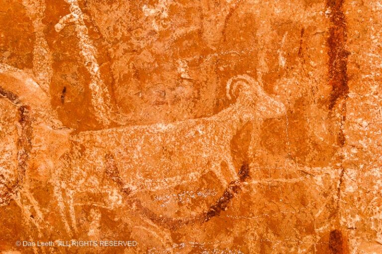 A Gallery of Desert Rock Art – Dan Leeth